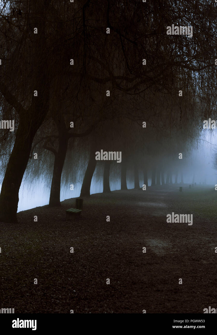 Strong Fog High Resolution Stock Photography and Images - Alamy