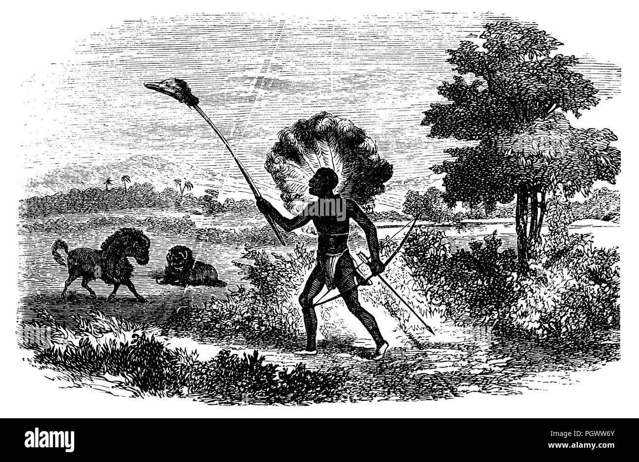 Old bushman Cut Out Stock Images & Pictures - Alamy