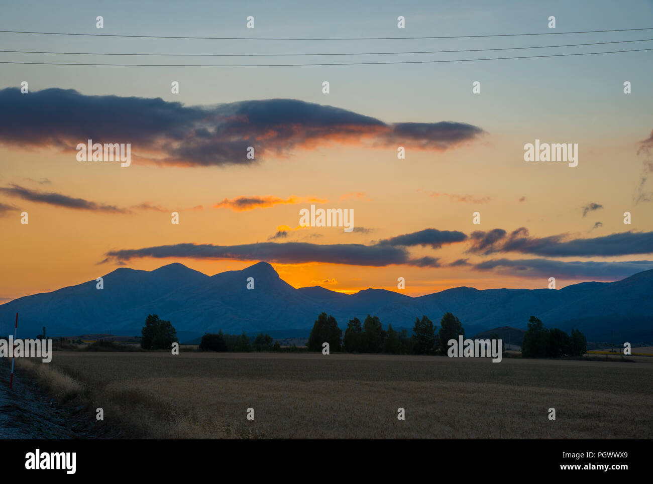 Silueta de leon hi-res stock photography and images - Alamy