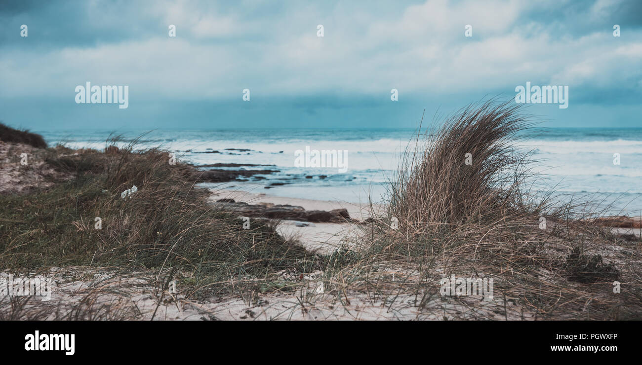 Beach sand and rocks in seascape Stock Photo - Alamy