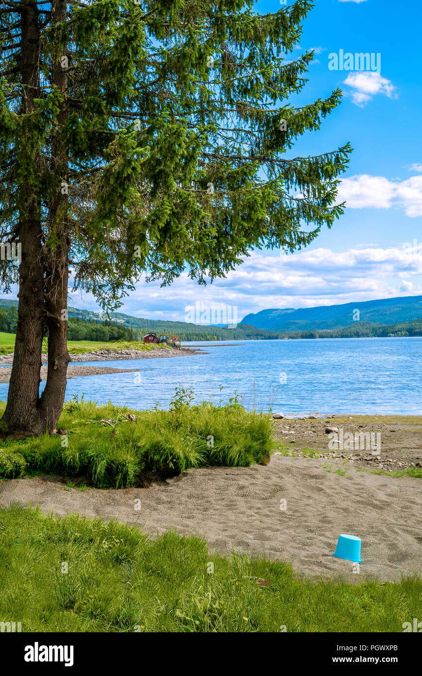 Recreation with summer vacation camping near a peaceful sunny beach ...