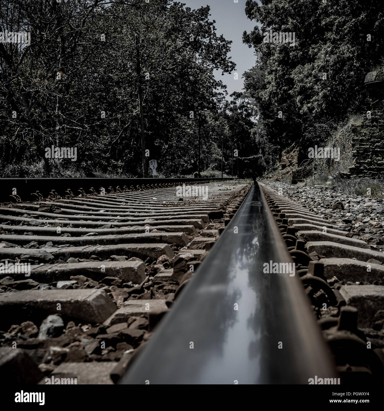 Low perspective of train track with grove Reflections on the Rail Stock ...