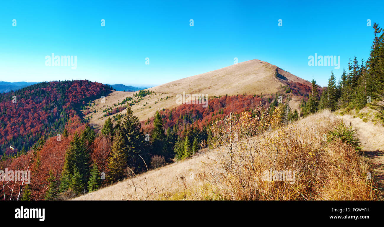 Reddish Knob Panorama