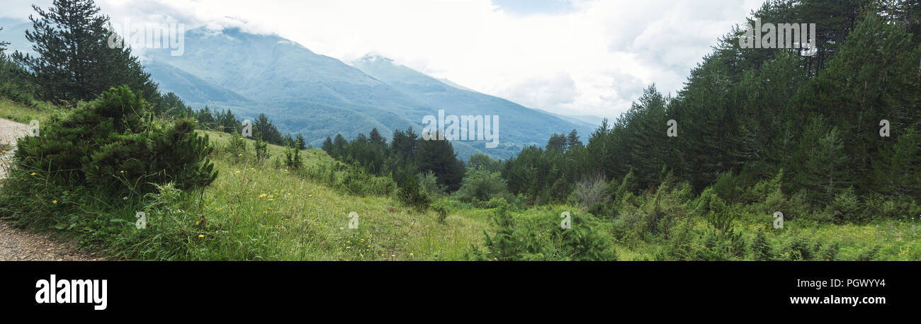 Prevalle hi-res stock photography and images - Alamy