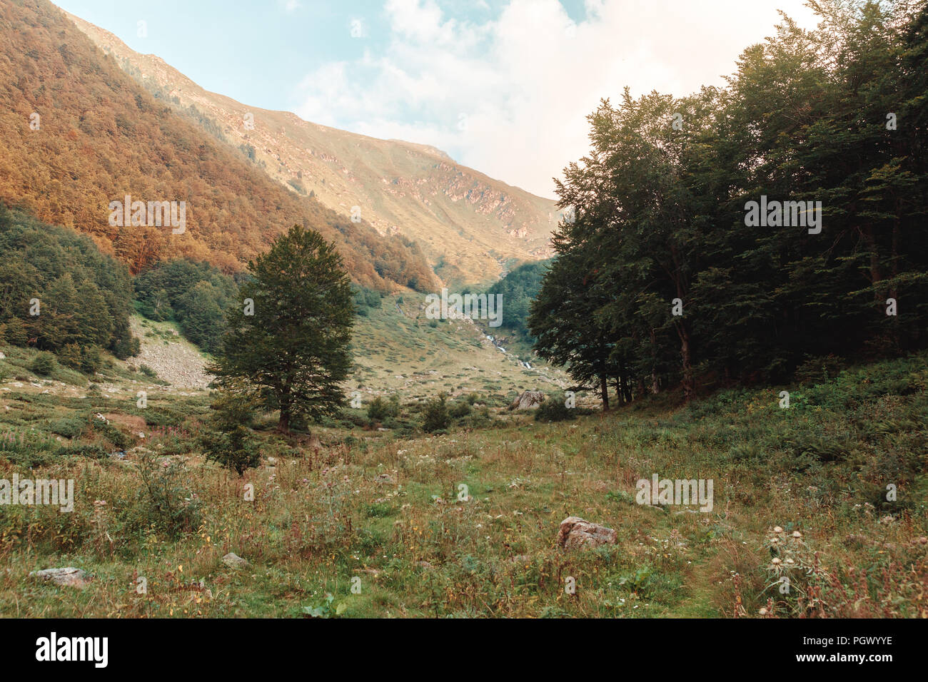 Prevalla hi-res stock photography and images - Alamy