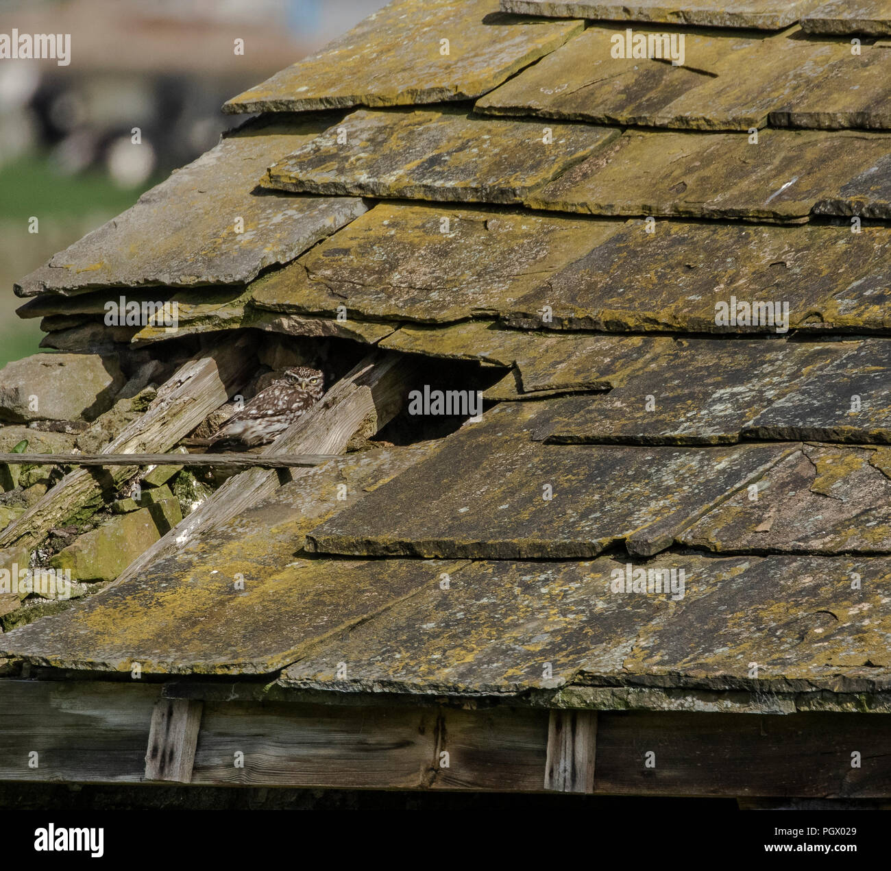 Crumbling building hi-res stock photography and images - Alamy