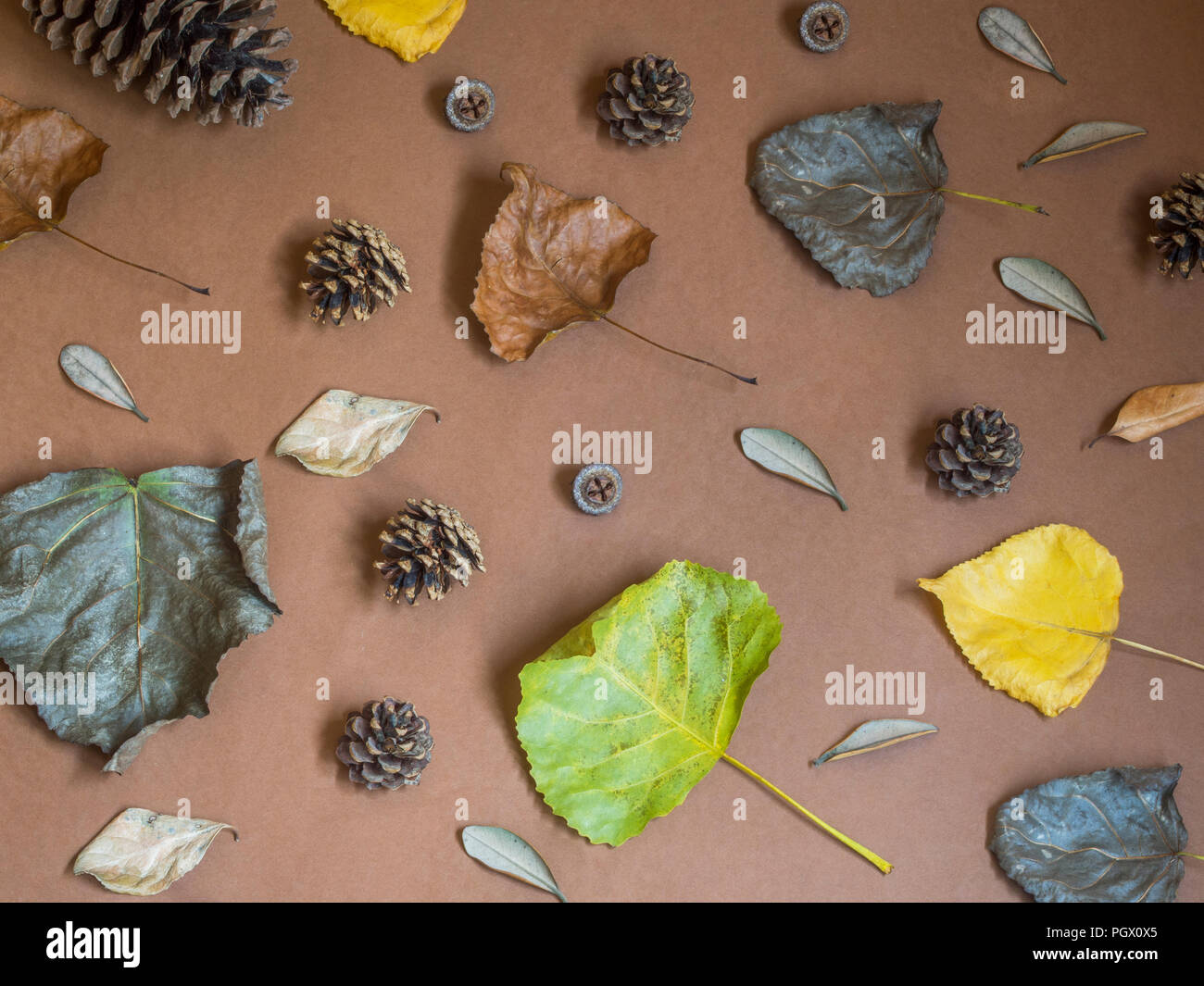 Fall pattern hi-res stock photography and images - Alamy