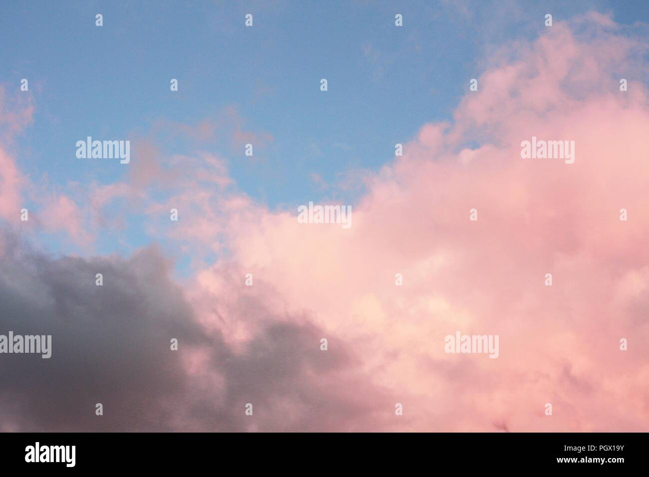 Pink aesthetic hi-res stock photography and images - Alamy