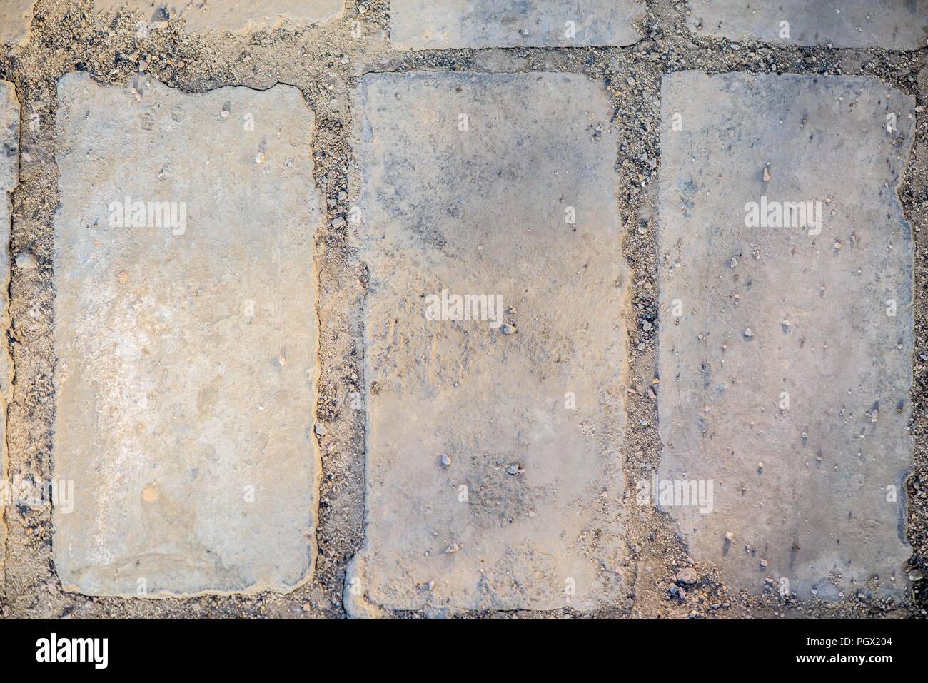 the texture of the brick for walkways. gray , pictured three bricks of ...