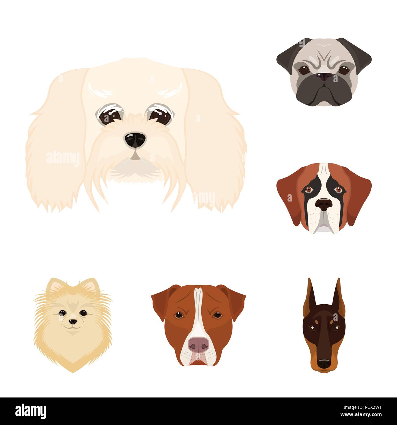 Dog breeds cartoon icons in set collection for design.Muzzle of a dog ...