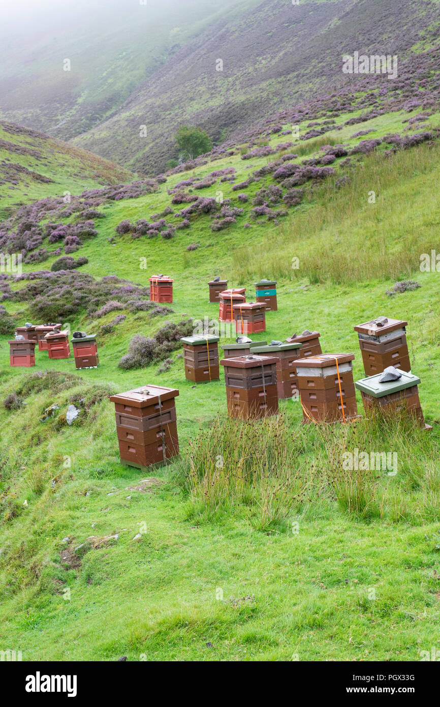 Lowther hills hi-res stock photography and images - Alamy
