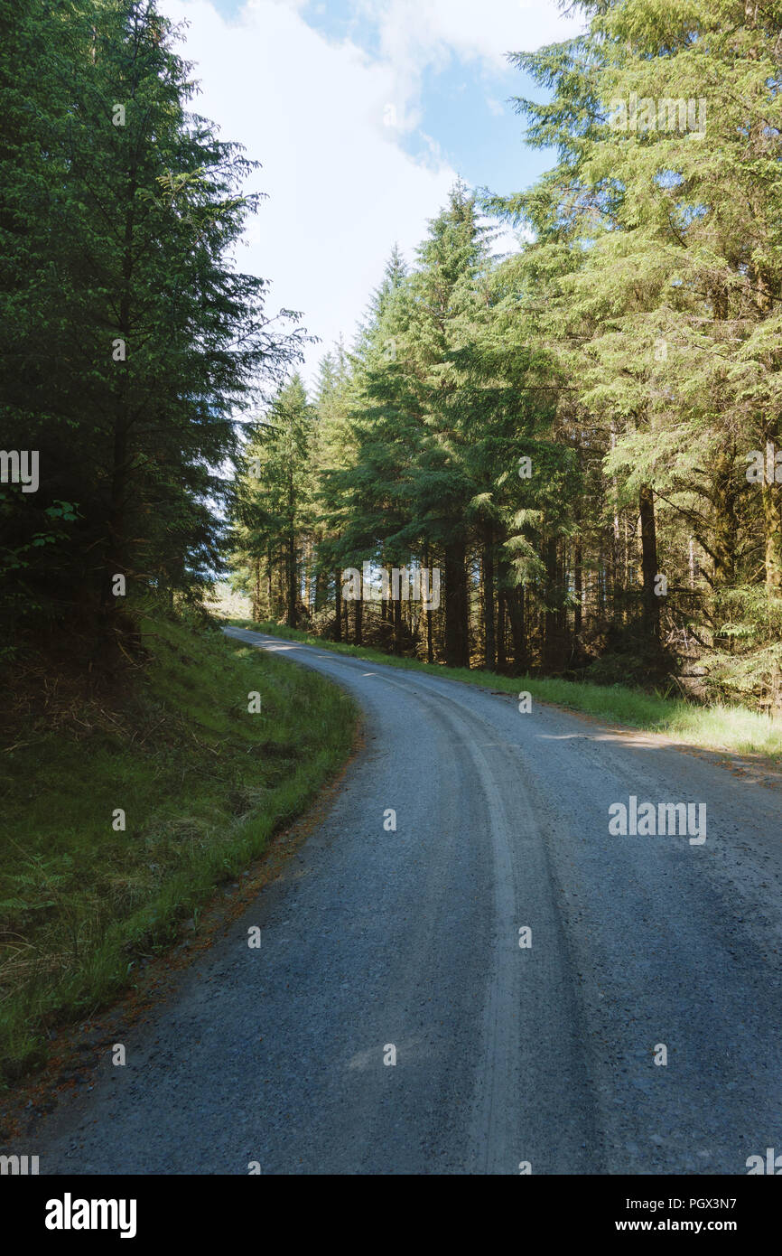 Morvern forest hi-res stock photography and images - Alamy