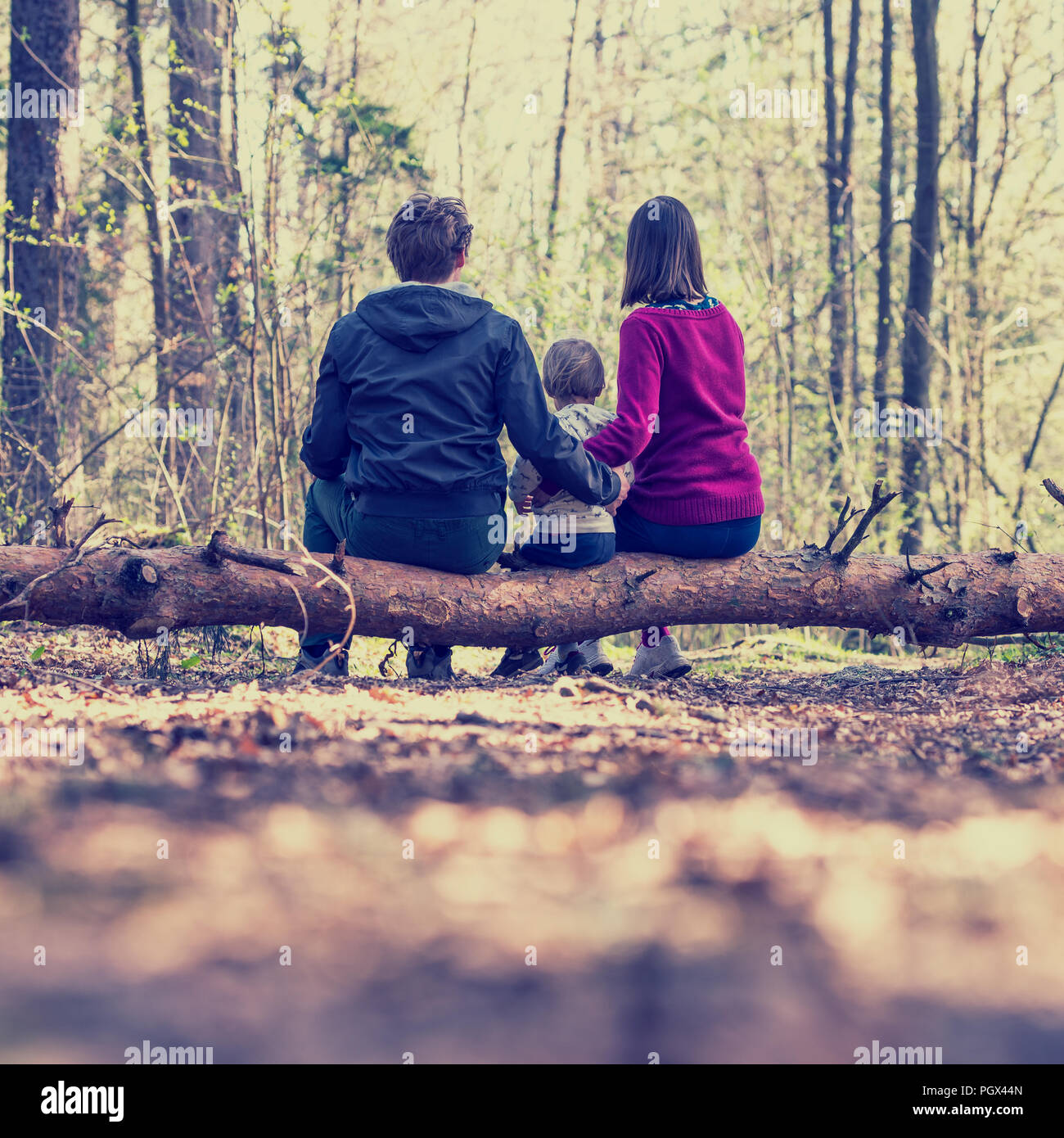 Family sitting on the tree hi-res stock photography and images - Alamy