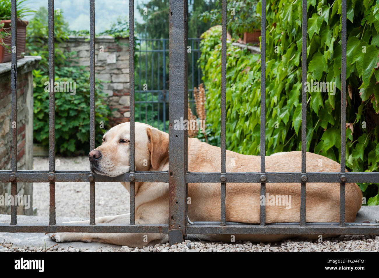 Guarding gates hi-res stock photography and images - Alamy