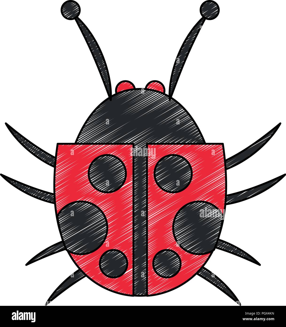 Ladybug isolated symbol scribble Stock Vector Image & Art - Alamy