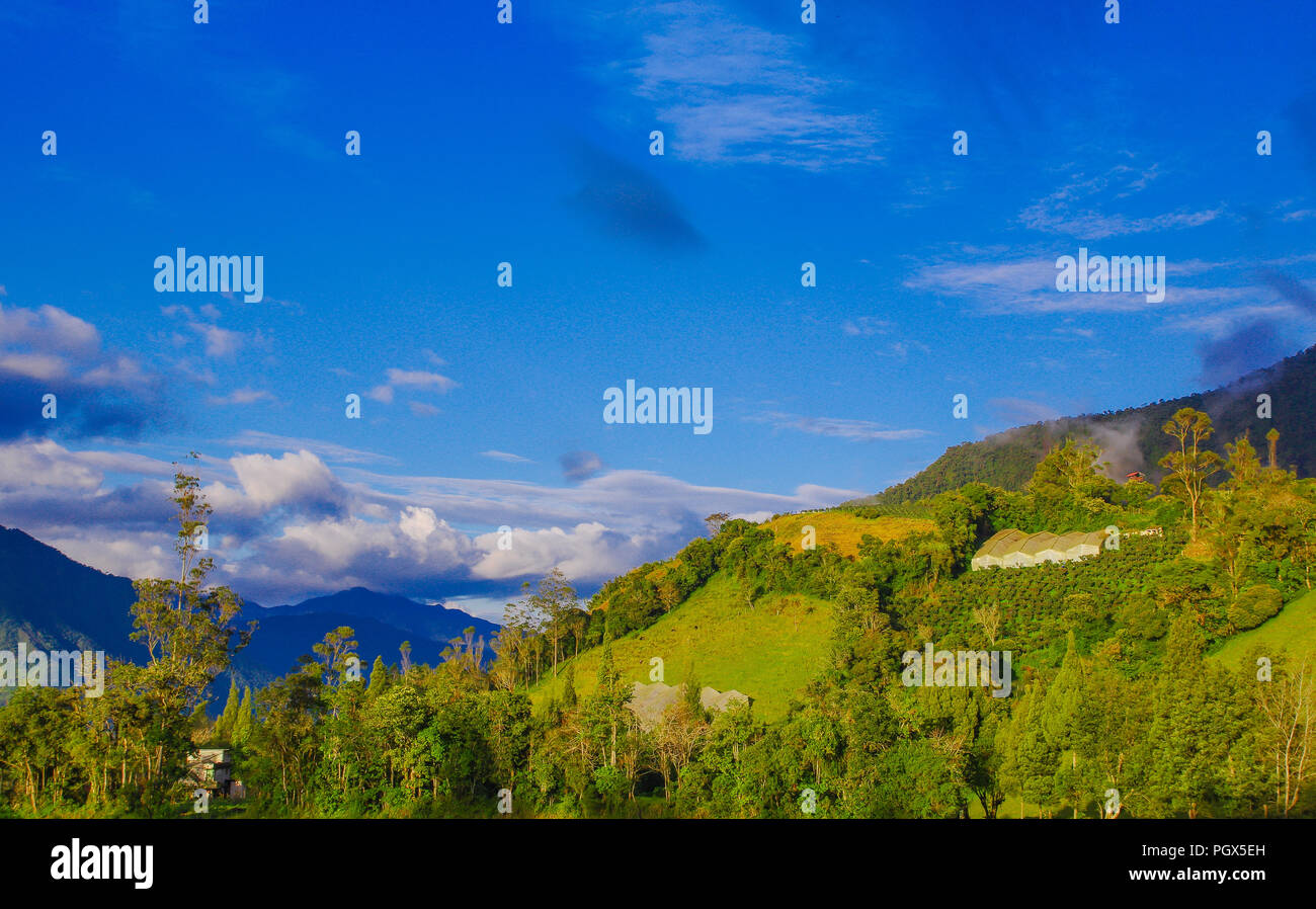 Holy water baths hi-res stock photography and images - Alamy