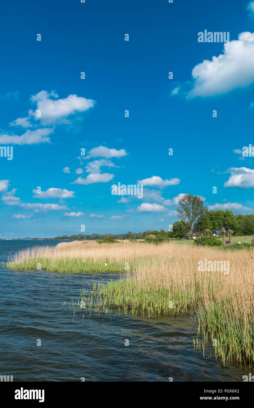 River Schlei, landscape Schwansen, Sieseby, Thumby, Schleswig Holstein ...