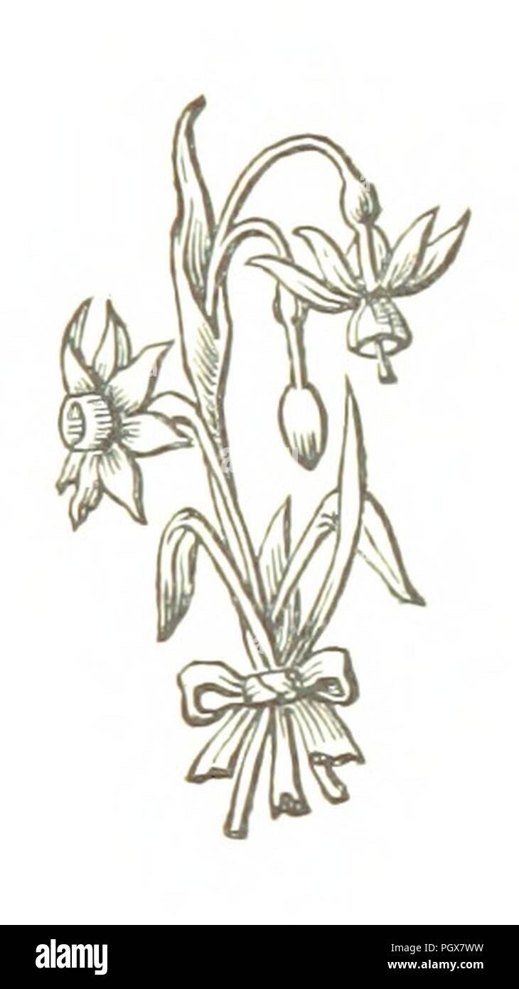 Maori pakeha maori Cut Out Stock Images & Pictures - Alamy