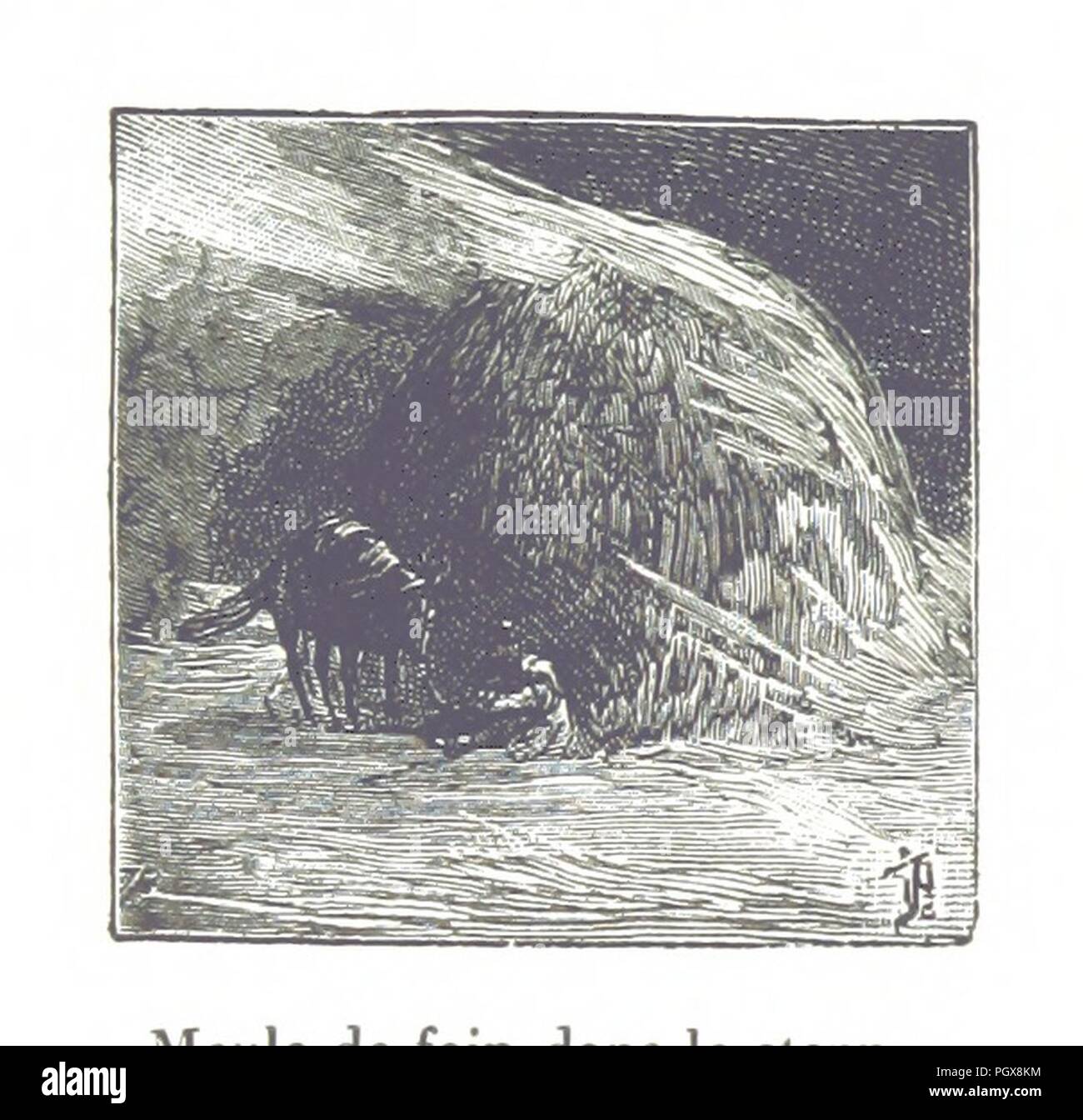 De gravures Cut Out Stock Images & Pictures - Alamy