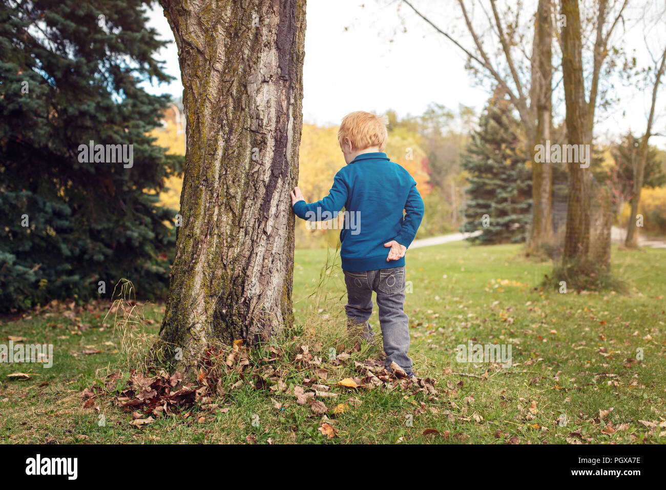 Cute adorable little red-haired Caucasian boy playing in autumn fall ...