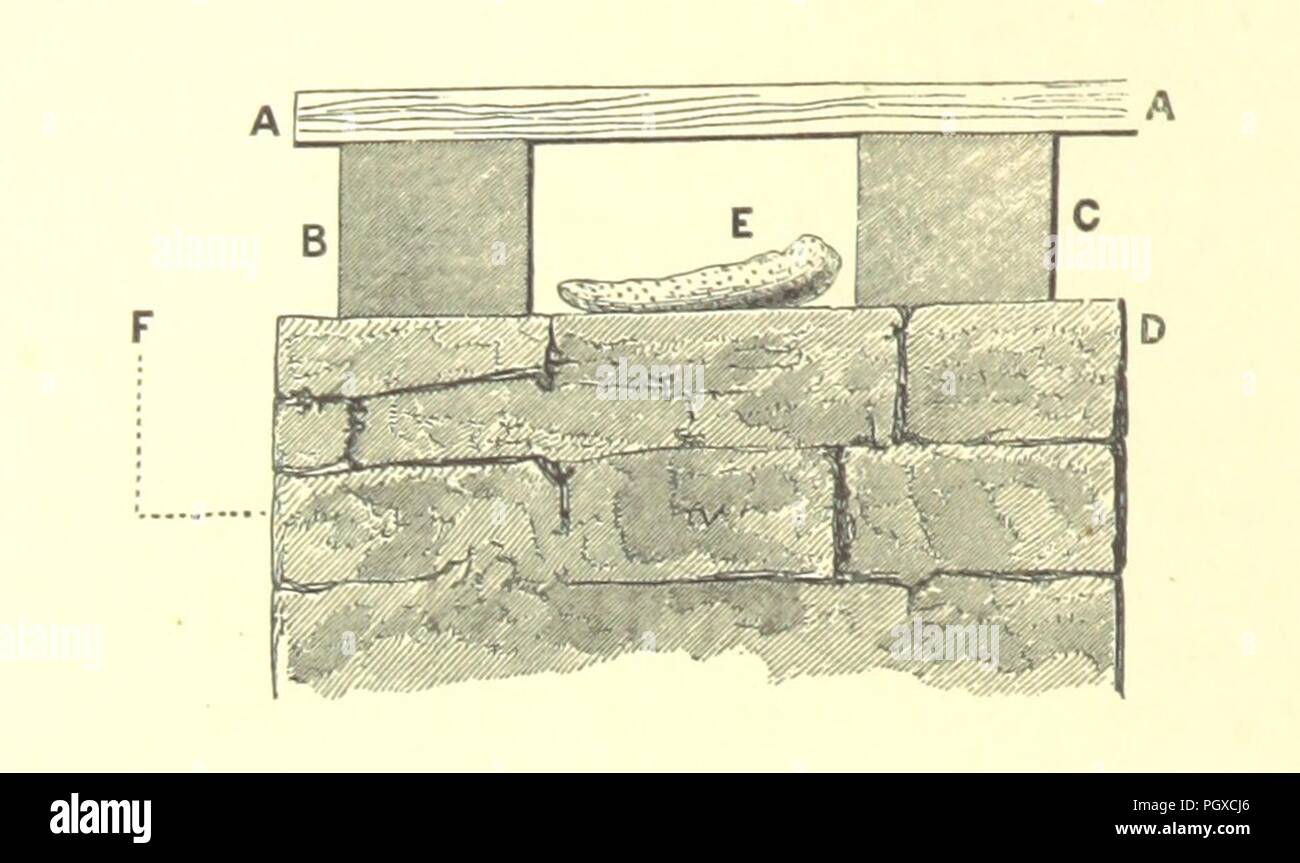 Davington Stock Photos & Davington Stock Images - Alamy