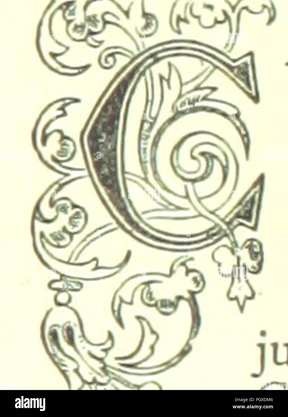 Image from page 177 of 'The Book of County Tipperary. A manual and ...
