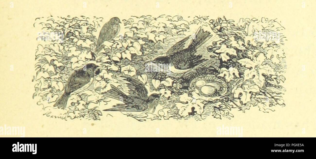 Image from page 187 of 'Illustrated Songs and Hymns for the little ones ...