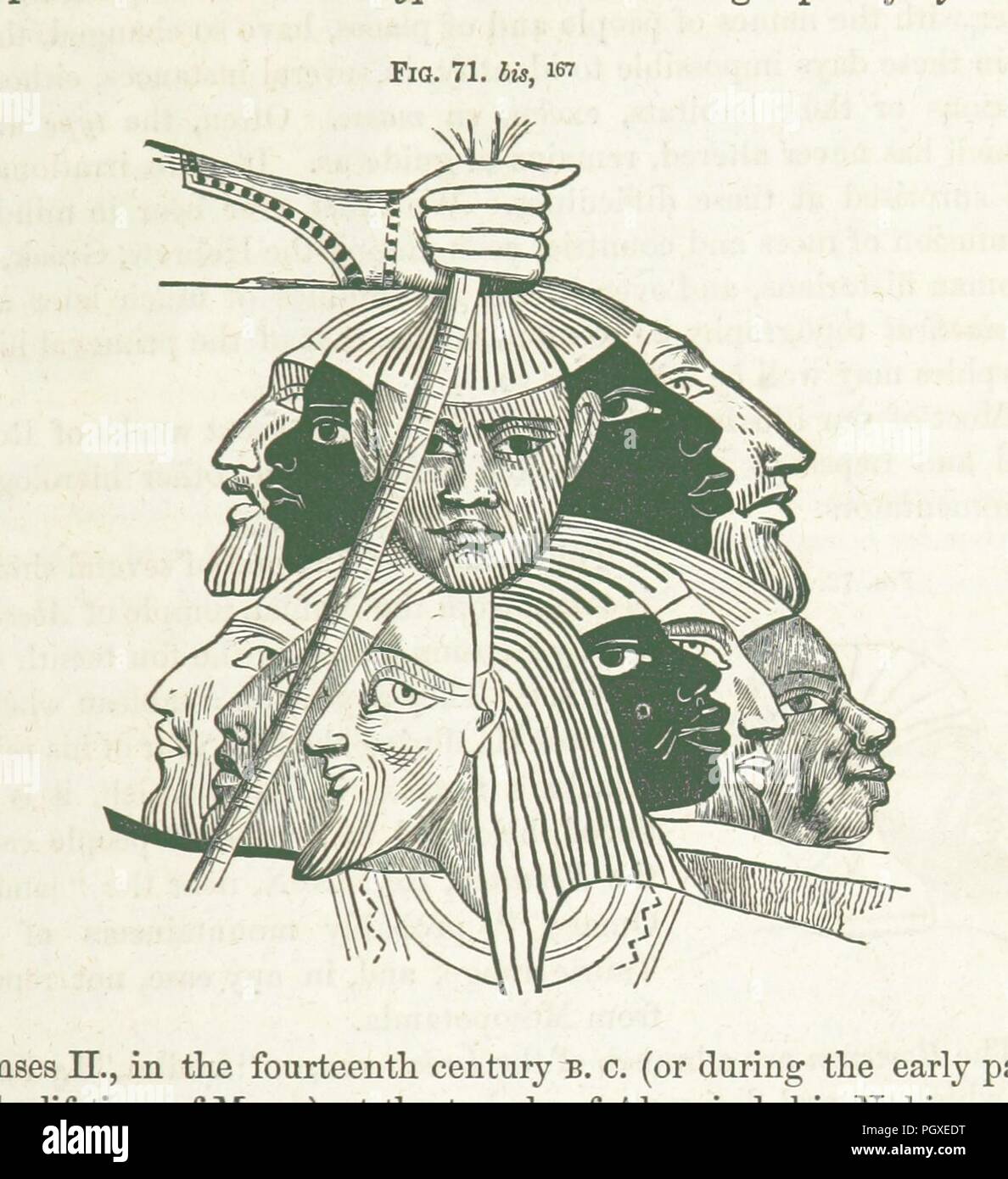 Types Of Mankind Stock Photos & Types Of Mankind Stock Images - Alamy