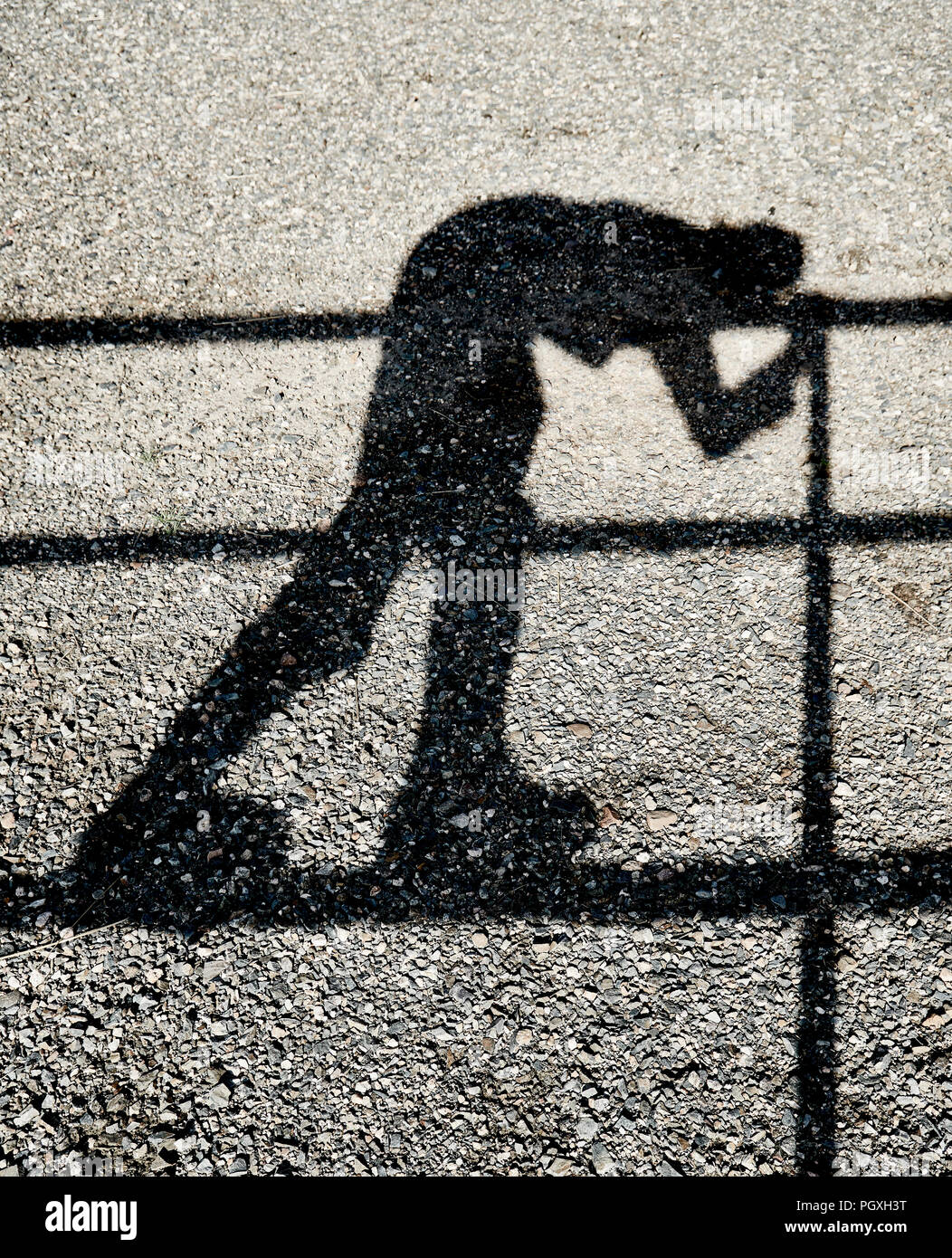 Leaning over rail hi-res stock photography and images - Alamy