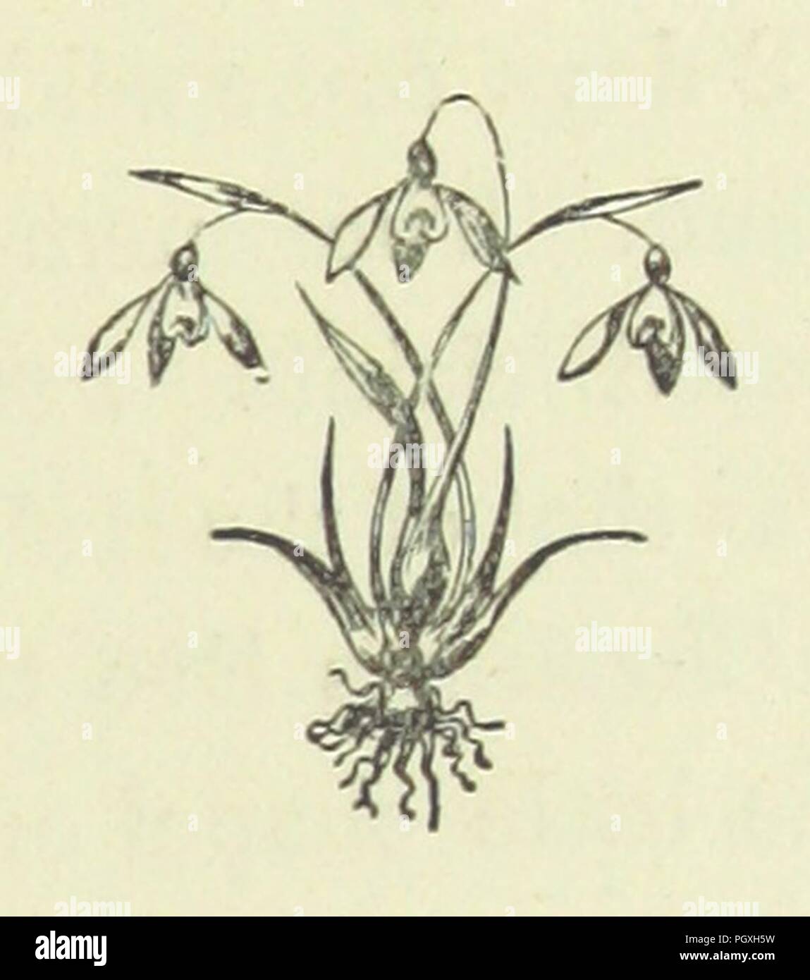 Jay Love High Resolution Stock Photography and Images - Alamy