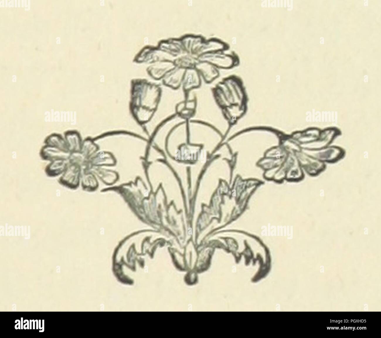 Image from page 255 of 'Old pictures in a new frame ... With ...