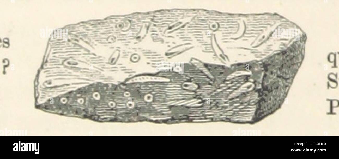 Siluria history oldest known rocks hi-res stock photography and images ...