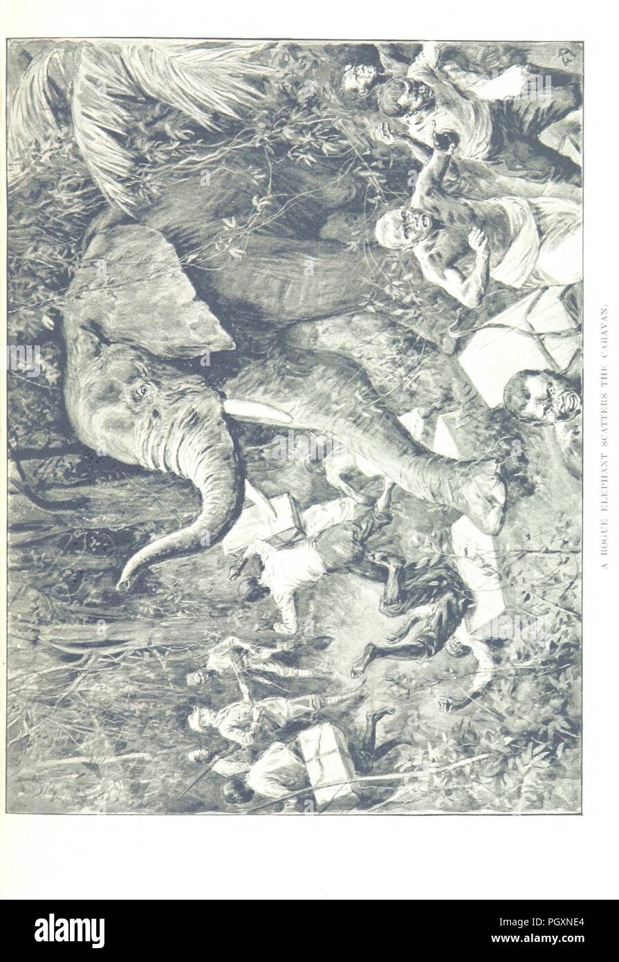 Image from page 365 of 'In Dwarf Land and Cannibal Country. A record of ...