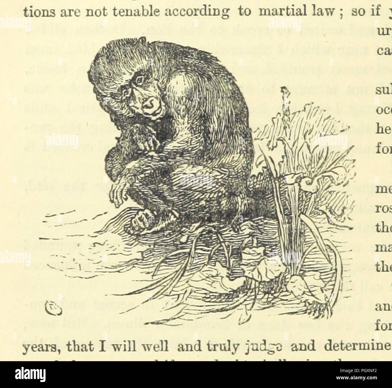 Image from page 366 of 'Beeton's Historical Romances, Daring Deeds, and ...