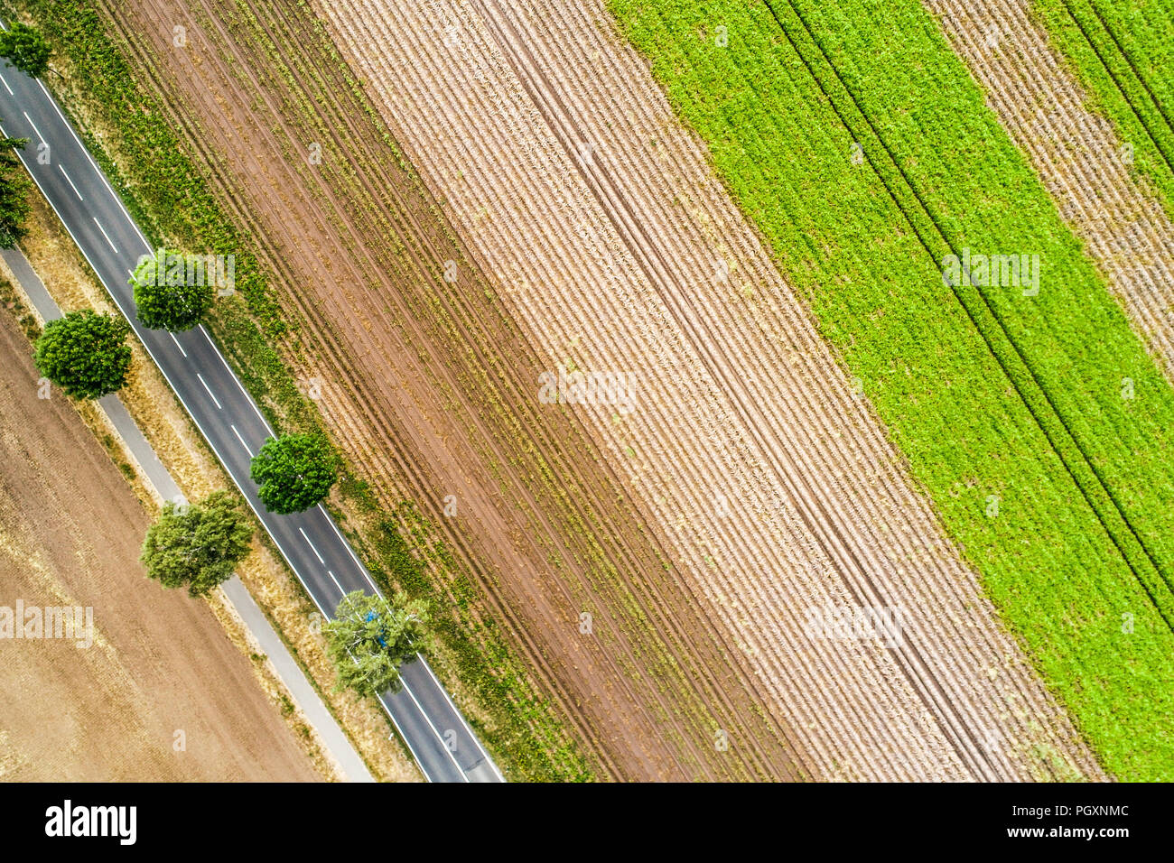 Abstract vertical aerial view of a narrow country road at the edge of ...
