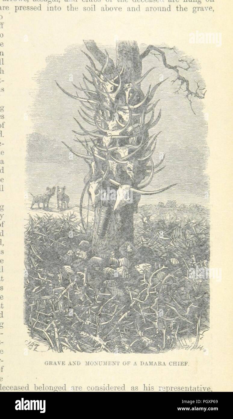 Image from page 391 of 'The Natural History of Man; being an account of ...