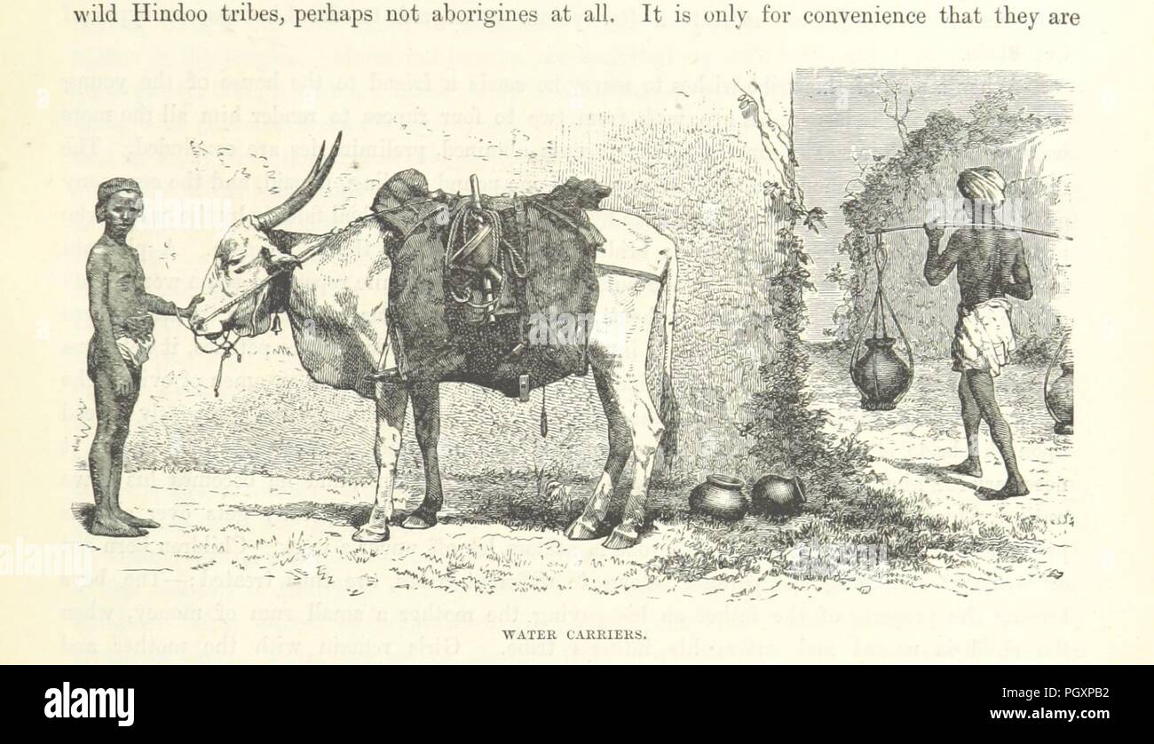 Image from page 397 of 'The Races of Mankind being a popular ...