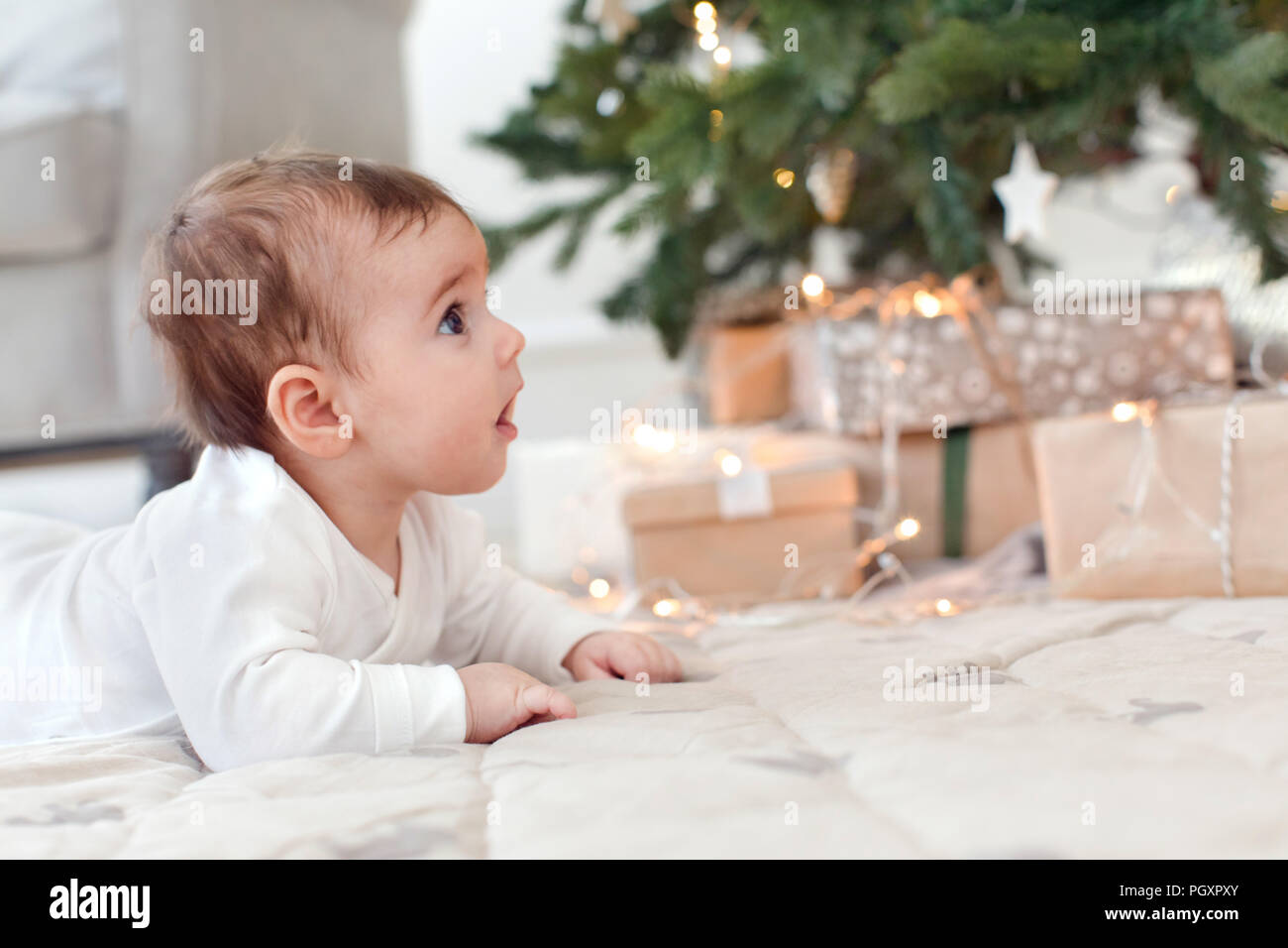 Baby christmas tree hi-res stock photography and images - Alamy