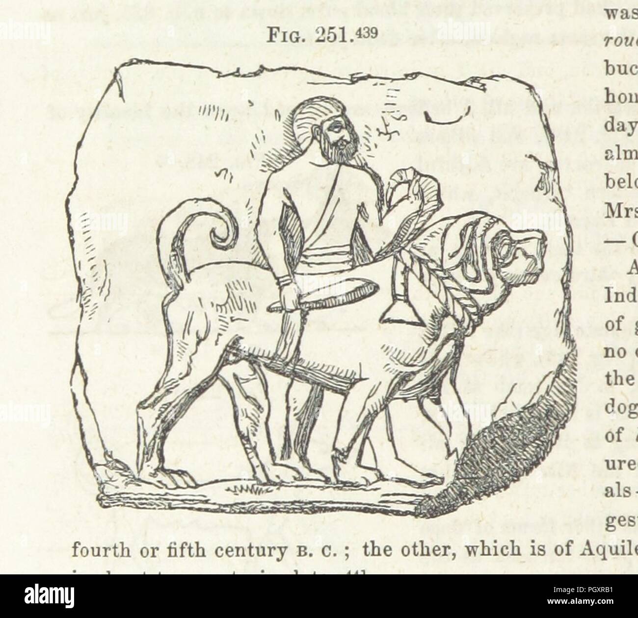 Types Of Mankind Stock Photos & Types Of Mankind Stock Images - Alamy