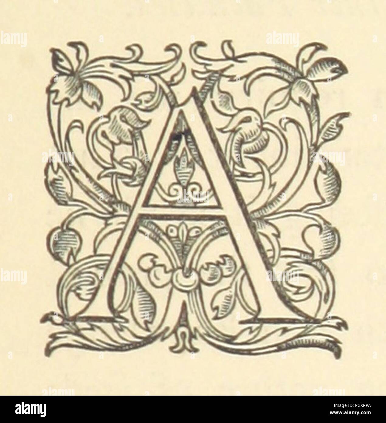 Thomas fortescue hi-res stock photography and images - Alamy