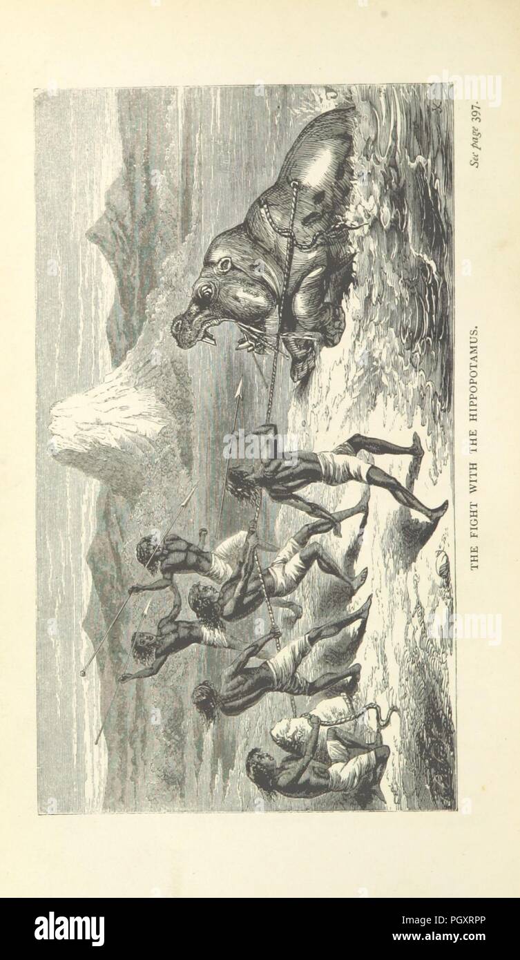 Image from page 460 of 'The Nile Tributaries of Abyssinia, and the ...