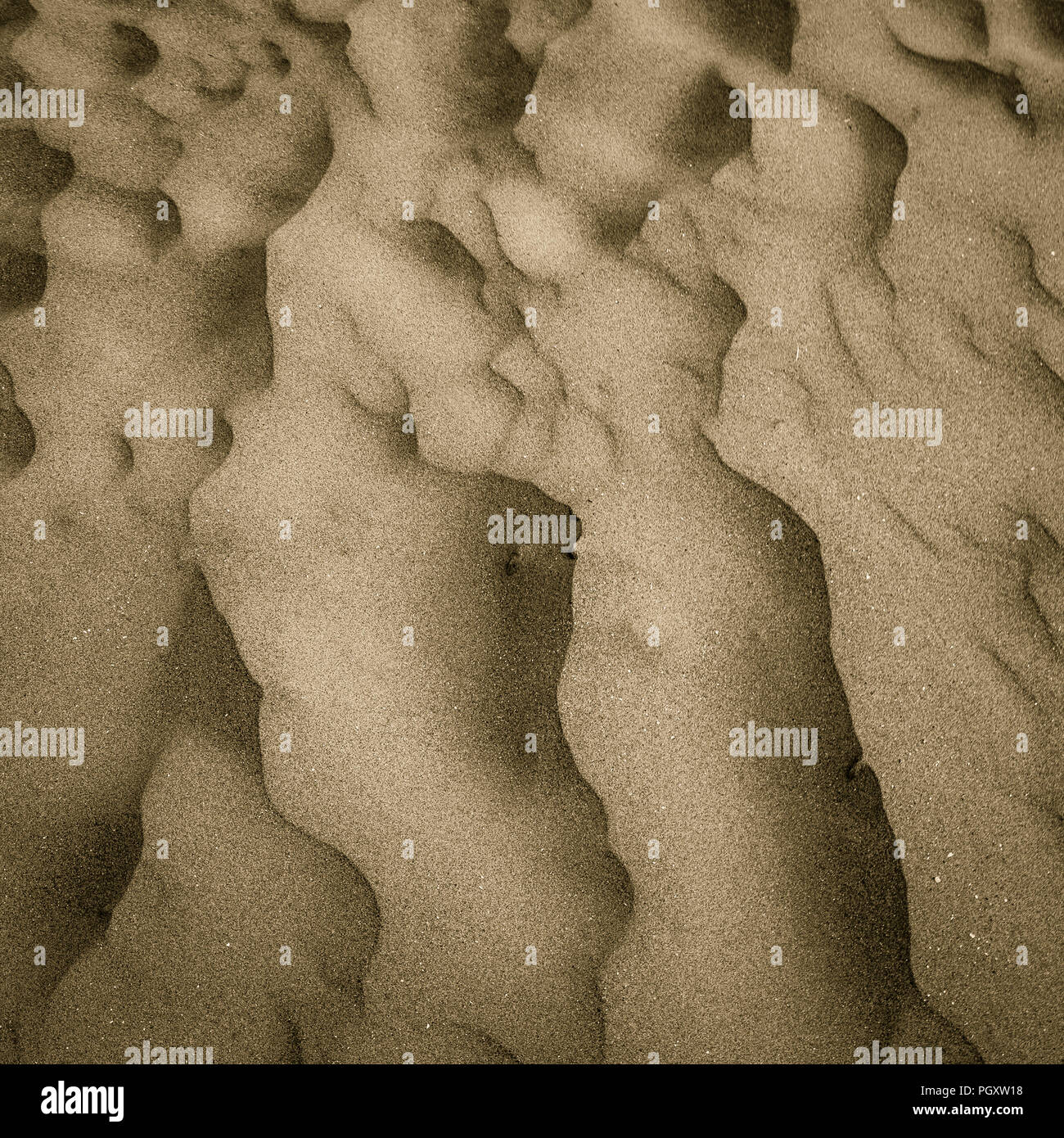 Wind blown ripples and patterns in the sand at Llandudno on the North ...