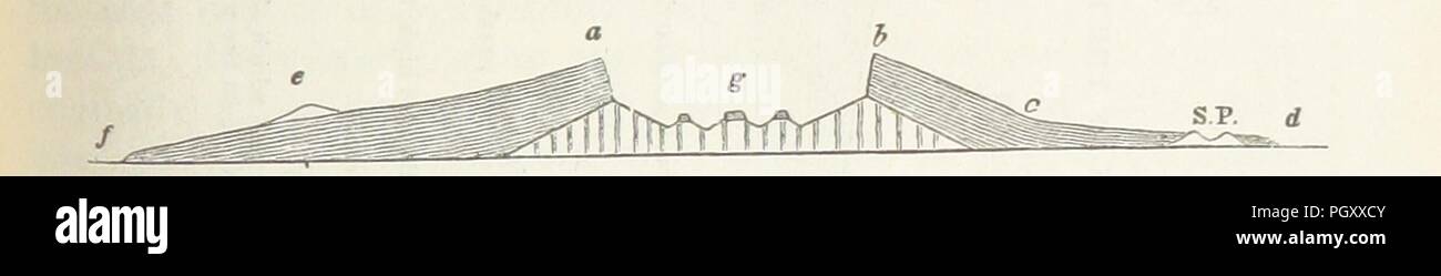 Image from page 647 of 'Elements of Geology ... Sixth edition, greatly ...