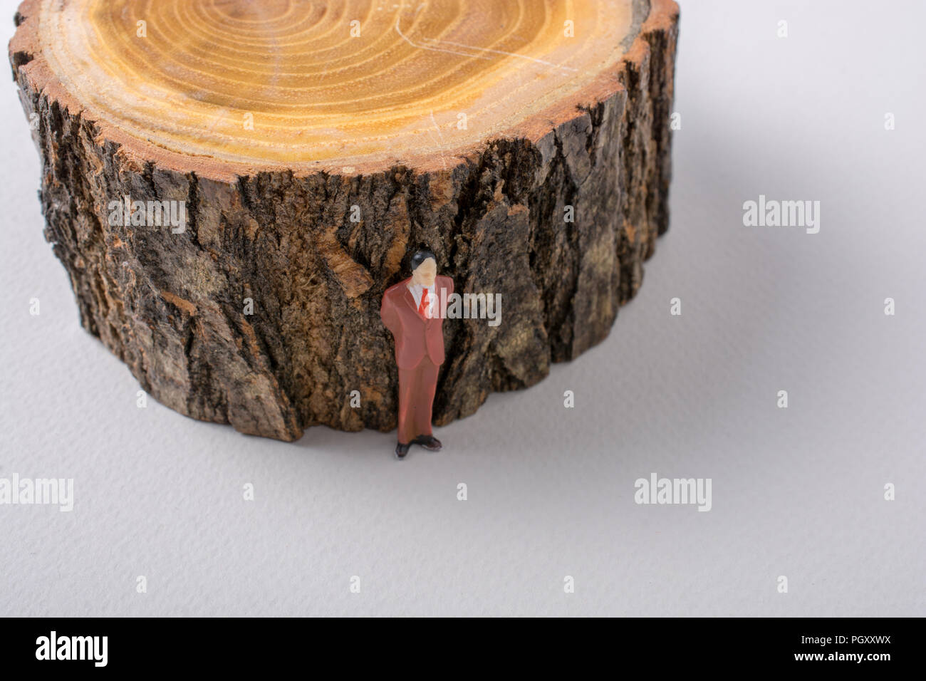 Tiny figurine of men model beside a tree trunk Stock Photo - Alamy