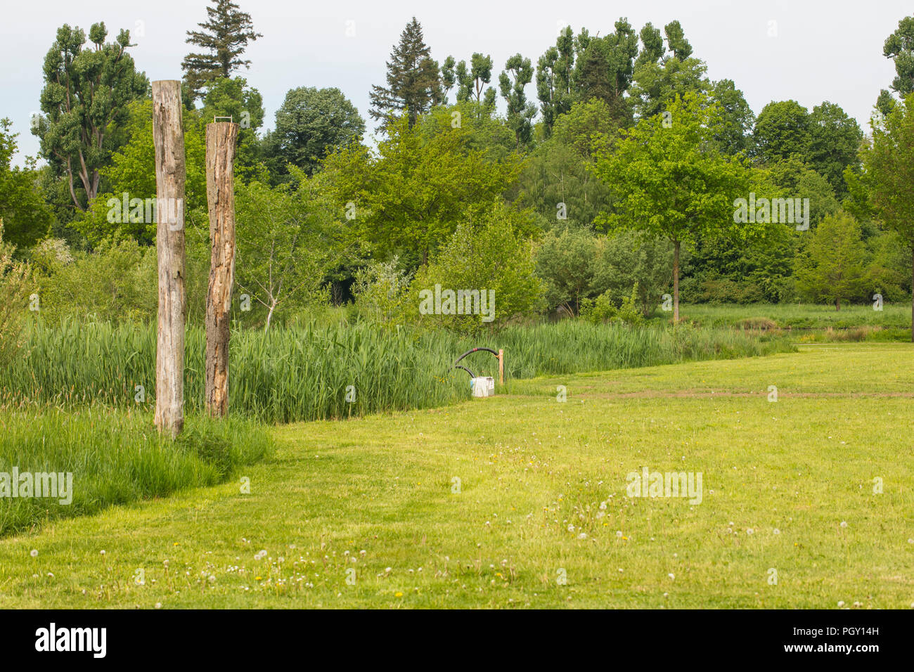 grass cut in the park very short Stock Photo - Alamy