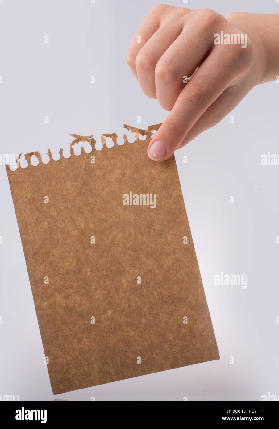 Hand holding a brown color sheet of paper on a white background Stock ...