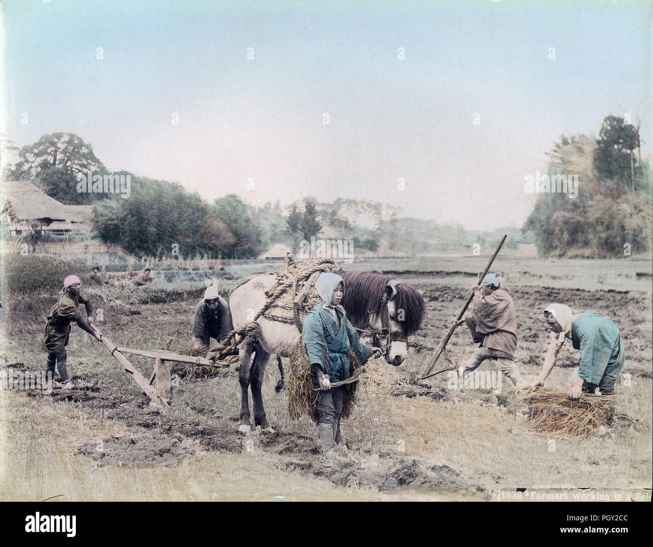 Agriculture in 1880s hi-res stock photography and images - Alamy