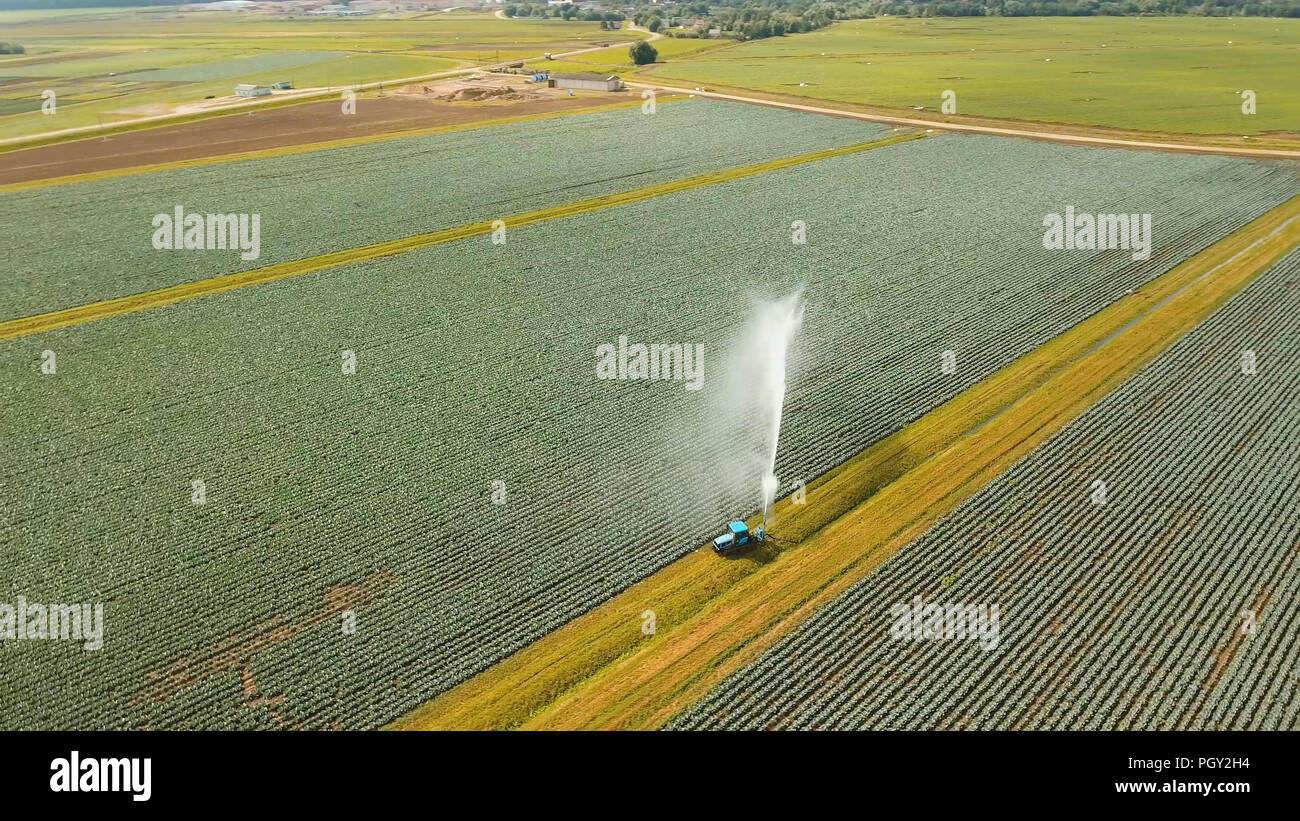 Aerial view: Irrigation equipment watering cabbage field. Irrigation ...