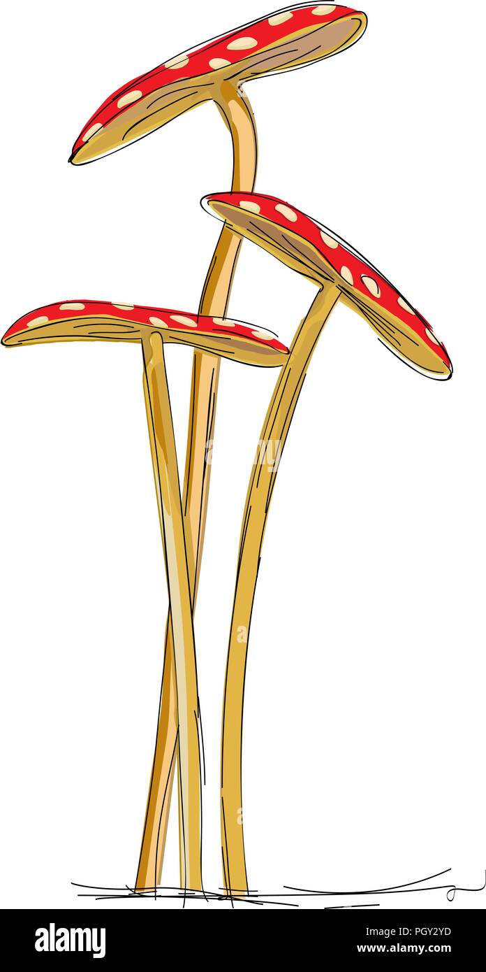 Red toxic fly agaric Stock Vector Images - Alamy