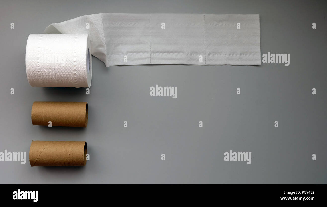Flat lay of toilet paper rolls Stock Photo - Alamy